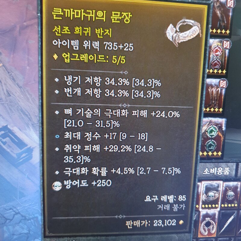 디아블로4 인벤 반지 선택좀 해주세요 디아블로4 인벤 강령술사 게시판
