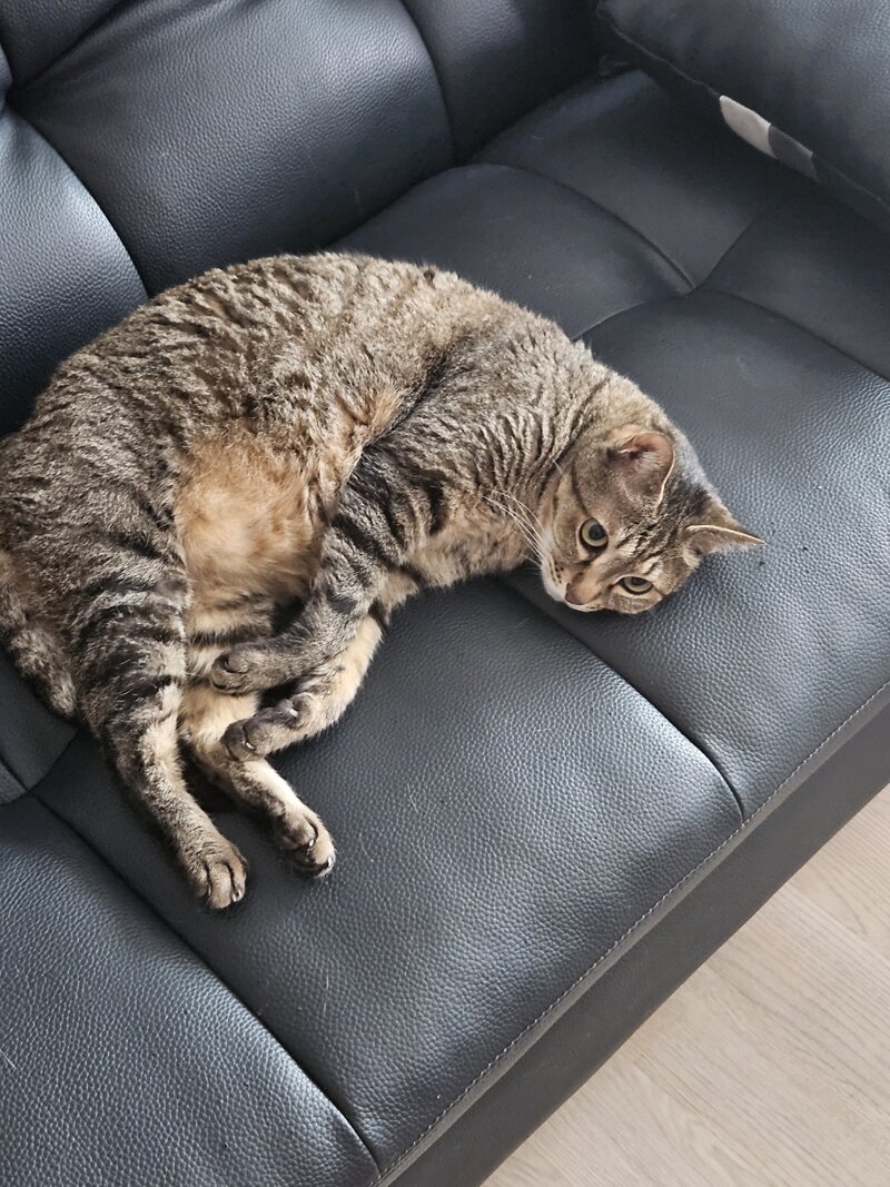 메이플스토리 인벤 이ㅅㄲ 표정왜이럼 메이플스토리 인벤 자유게시판