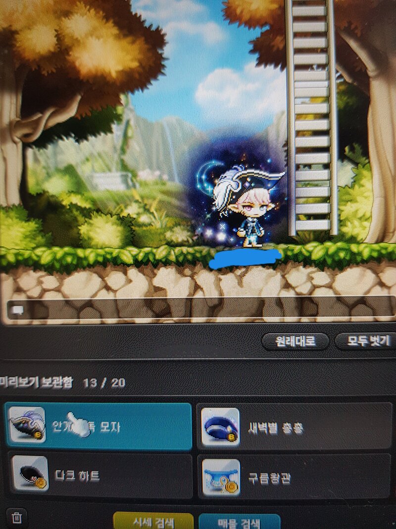 메이플스토리 인벤 두 모자 중에 뭐가 더 나은지 추천해주세요 메이플스토리 인벤 코디득템스크린샷 게시판