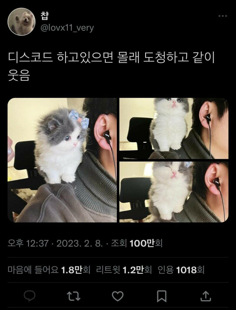 로스트아크 인벤 디코 도청하고 씨익 웃고있는 짤 로스트아크 인벤 자유 게시판