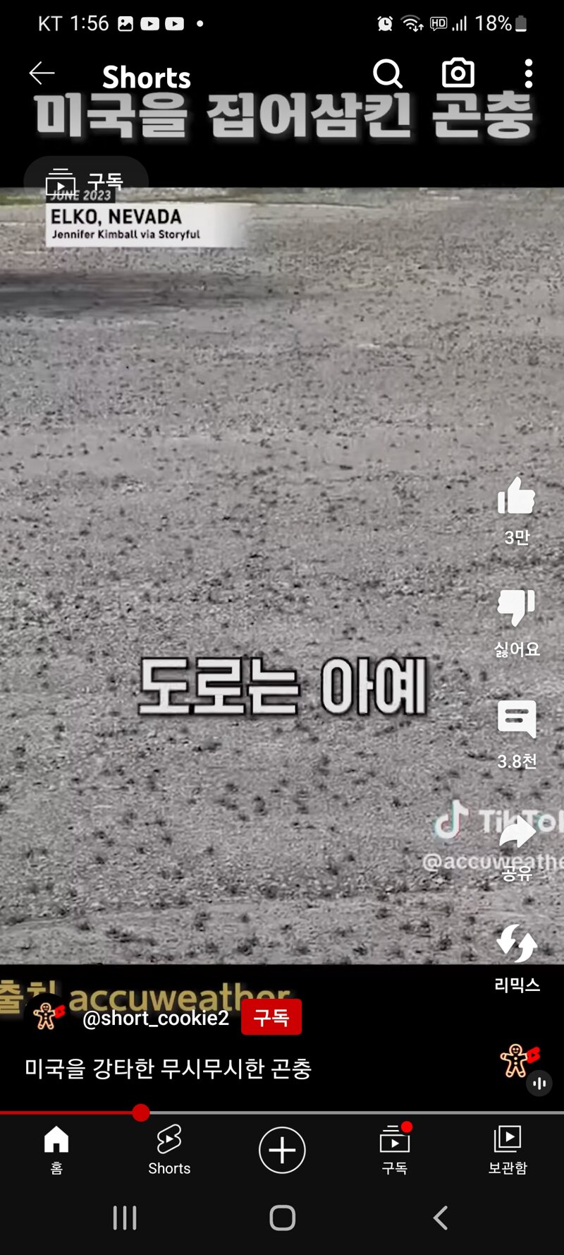 메이플스토리 인벤 벌레약혐 시발 유튜브쇼츠보는데 개징그럽네 바선생이 선녀인데 메이플스토리 인벤 자유게시판