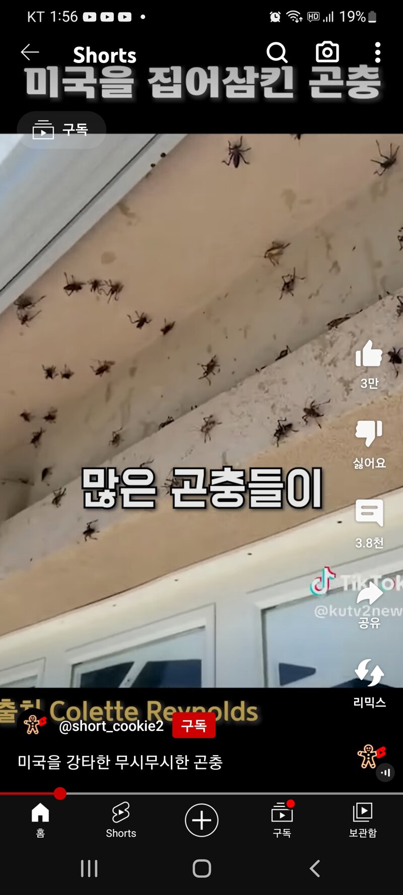 메이플스토리 인벤 벌레약혐 시발 유튜브쇼츠보는데 개징그럽네 바선생이 선녀인데 메이플스토리 인벤 자유게시판