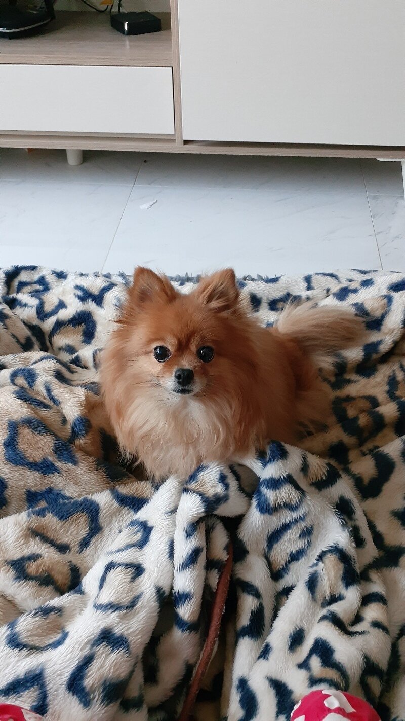 월드 오브 워크래프트 인벤 장신구 어디에 묶어쓰시나요 와우 인벤 흑마법사 게시판