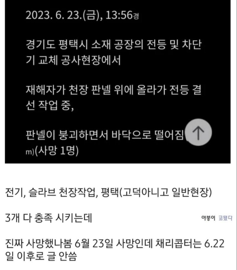 메이플스토리 인벤 매일 점심인증 하던 디시인 메이플스토리 인벤 자유게시판