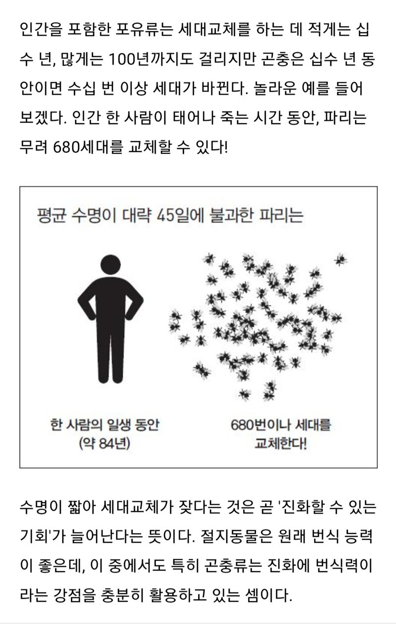 지구의 진정한 지배자는 누구일까 인간 곤충 바이러스 오픈이슈갤러리 인벤