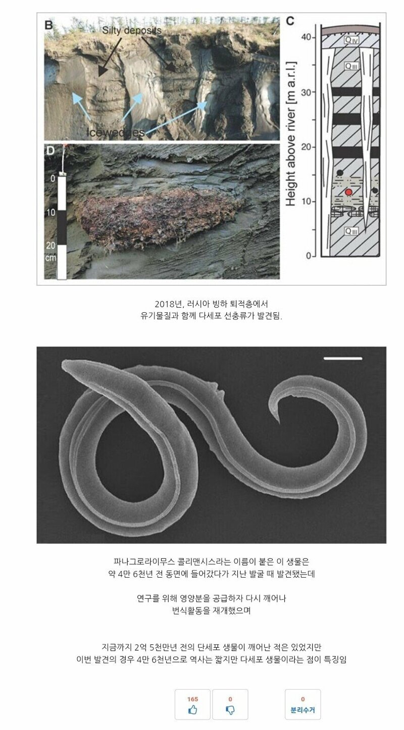 메이플스토리 인벤 New Age 진짜뜻 메이플스토리 인벤 자유게시판