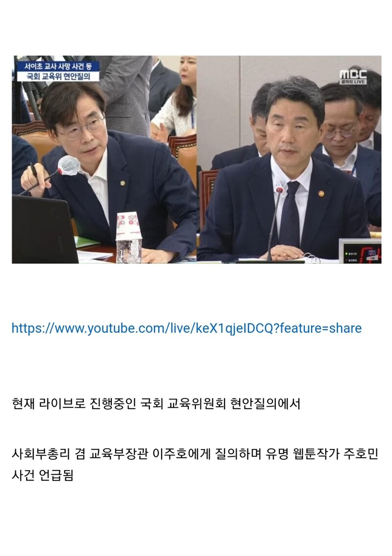 메이플스토리 커뮤니티 화제 속보 주호민 ㅈ됨 Vortex Gaming