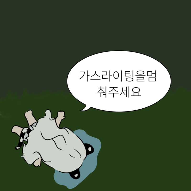메애기 낙서고통의미궁 스토리 후기 볼텍스 게이밍