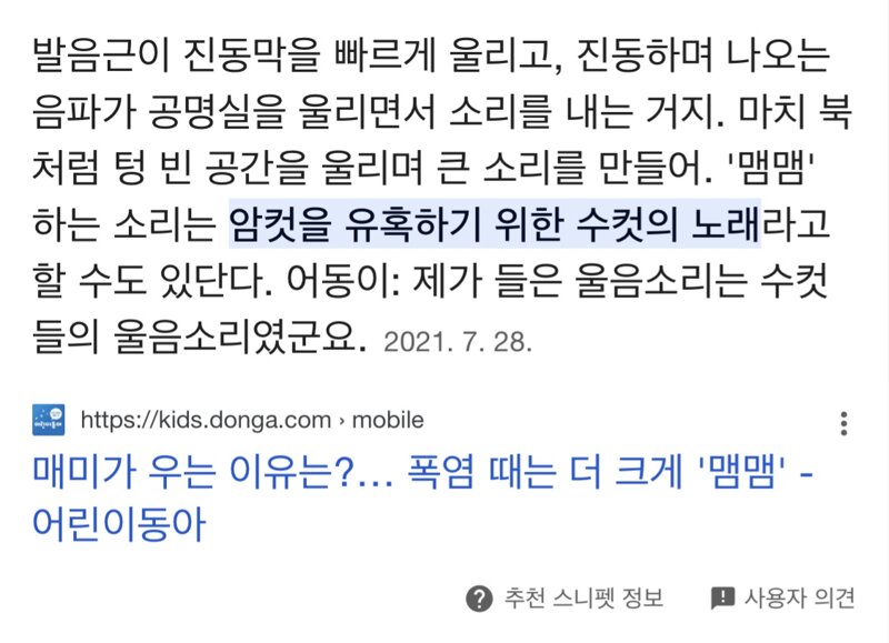 매미 야 암컷 함 하자 오픈이슈갤러리 인벤