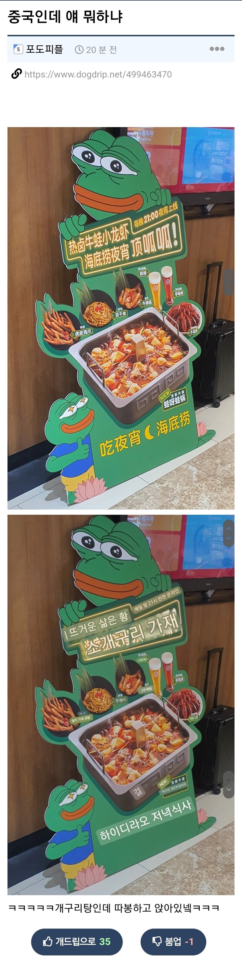 메이플스토리 인벤 대륙으로 진출한 페페 메이플스토리 인벤 자유게시판
