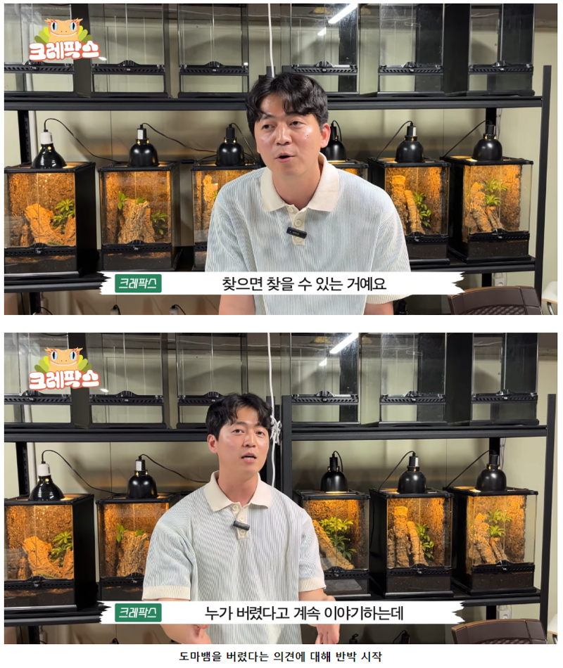 전문가의견 최근 발견된 뱀 도마뱀ㄷㄷ 오픈이슈갤러리 인벤