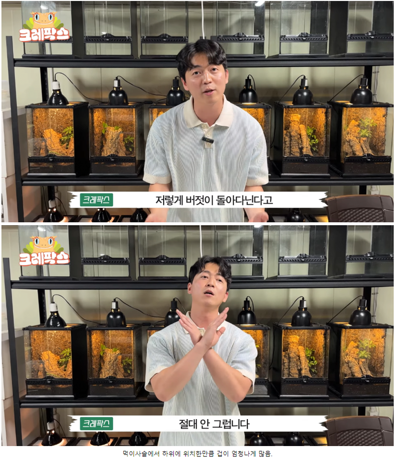 전문가의견 최근 발견된 뱀 도마뱀ㄷㄷ 오픈이슈갤러리 인벤