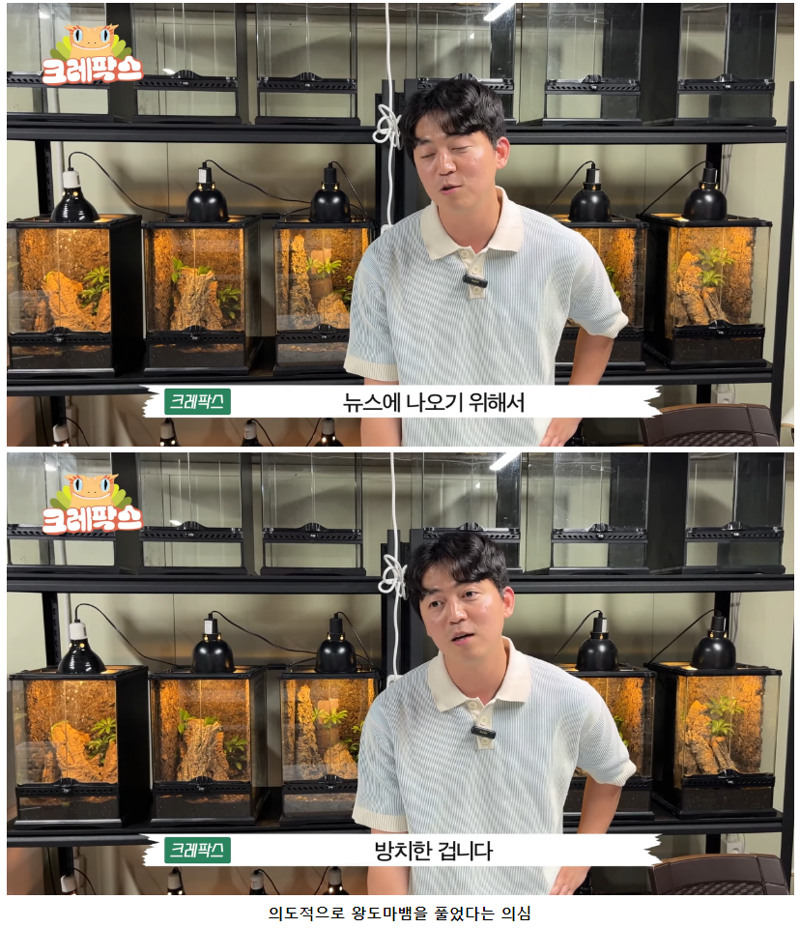 ﻿전문가의견 최근 발견된 뱀 도마뱀ㄷㄷ 오픈이슈갤러리 인벤