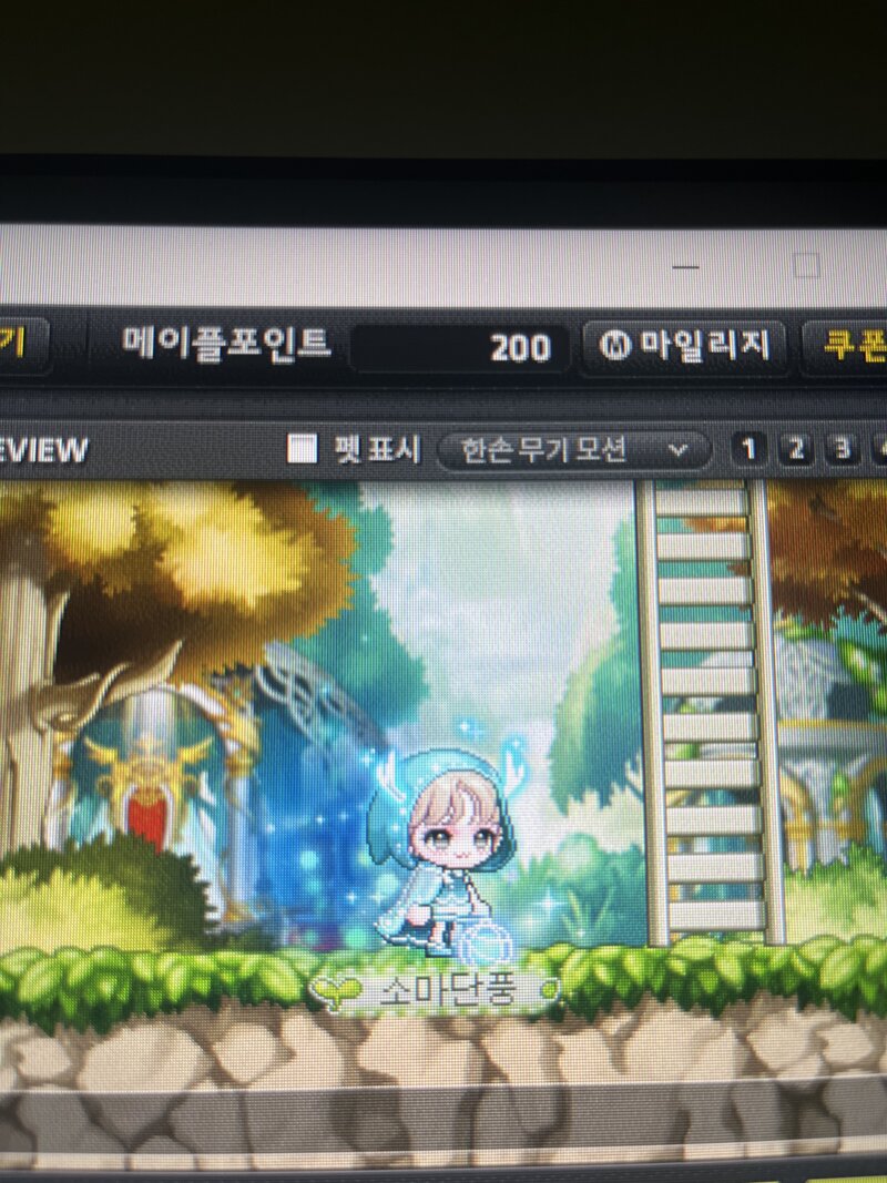 메이플스토리 인벤 버블리 헤어 커믹염 추천좀 메이플스토리 인벤 자유게시판