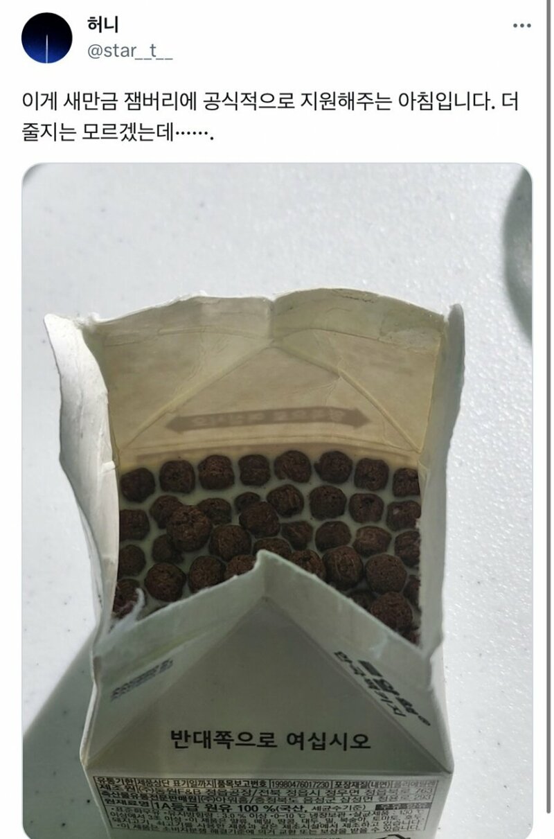 메이플스토리 인벤 잼버리의 아침식사 메이플스토리 인벤 자유게시판