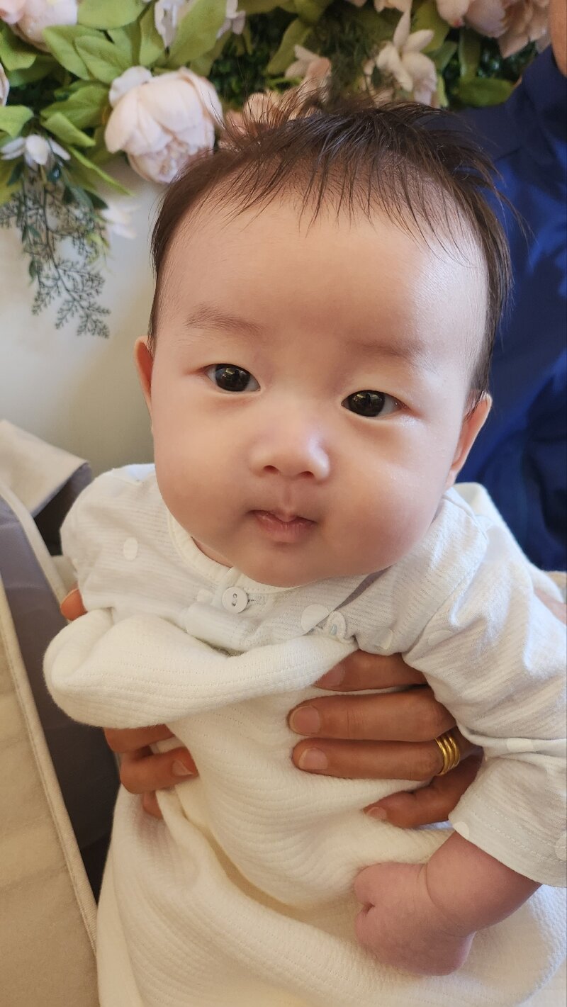 메이플스토리 인벤 진짜토끼사진 메이플스토리 인벤 자유게시판