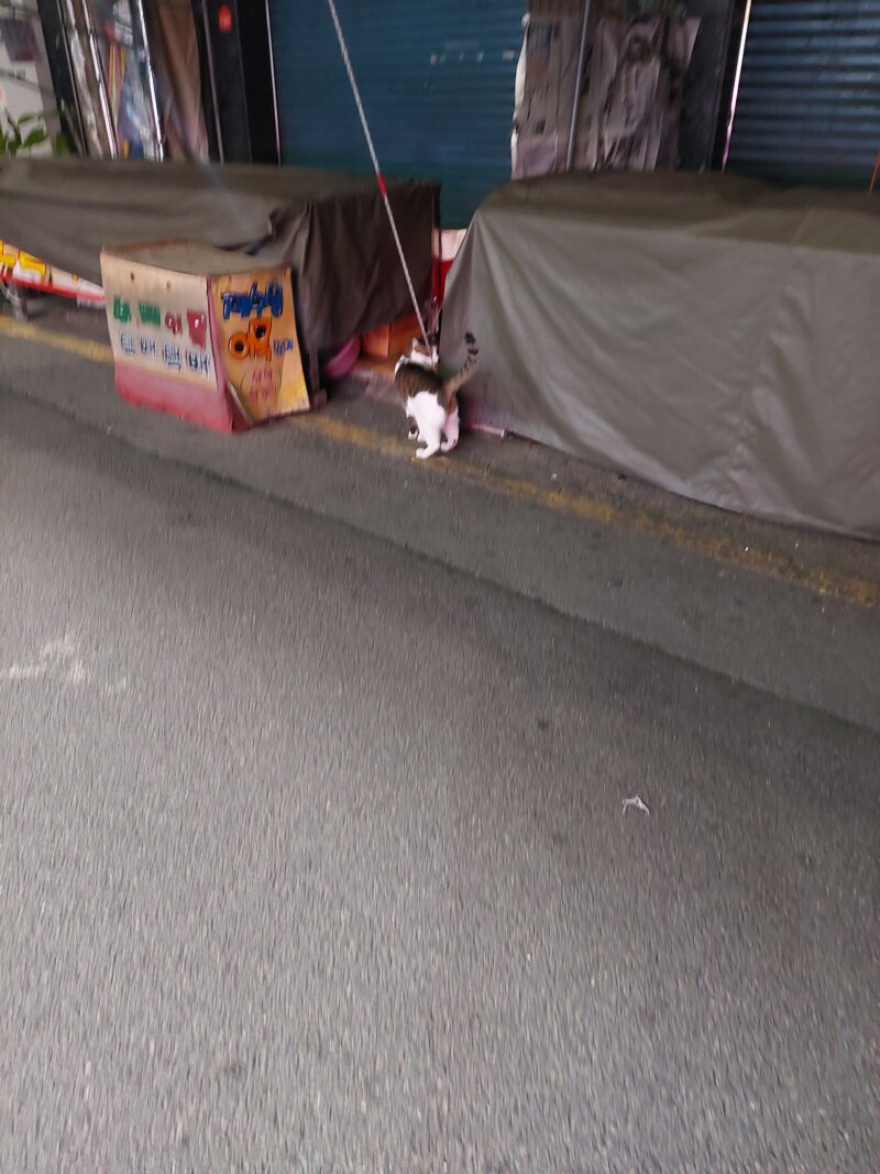 메이플스토리 인벤 밤인데도 ㅈㄴ 덥네 메이플스토리 인벤 자유게시판