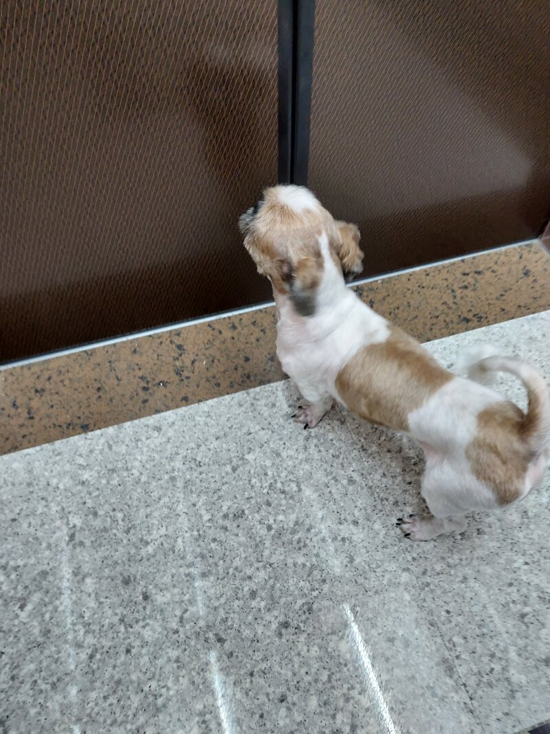 메이플스토리 인벤 밤인데도 ㅈㄴ 덥네 메이플스토리 인벤 자유게시판