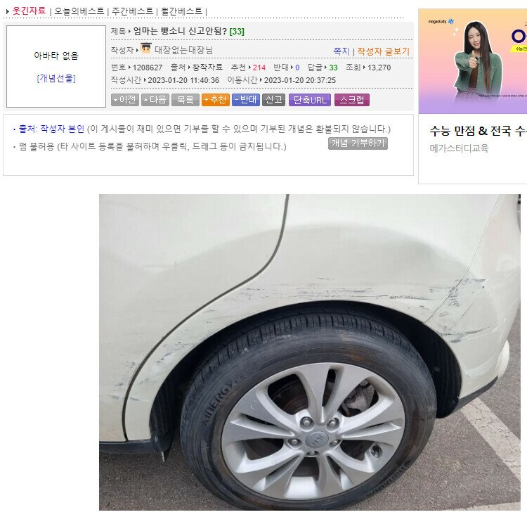 어머니의 물피도주 뺑소니 오픈이슈갤러리 인벤
