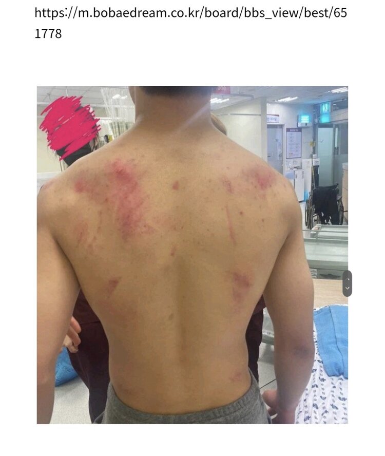 메이플스토리 인벤 의정부 금오동 칼부림 사건 논란 메이플스토리 인벤 자유게시판