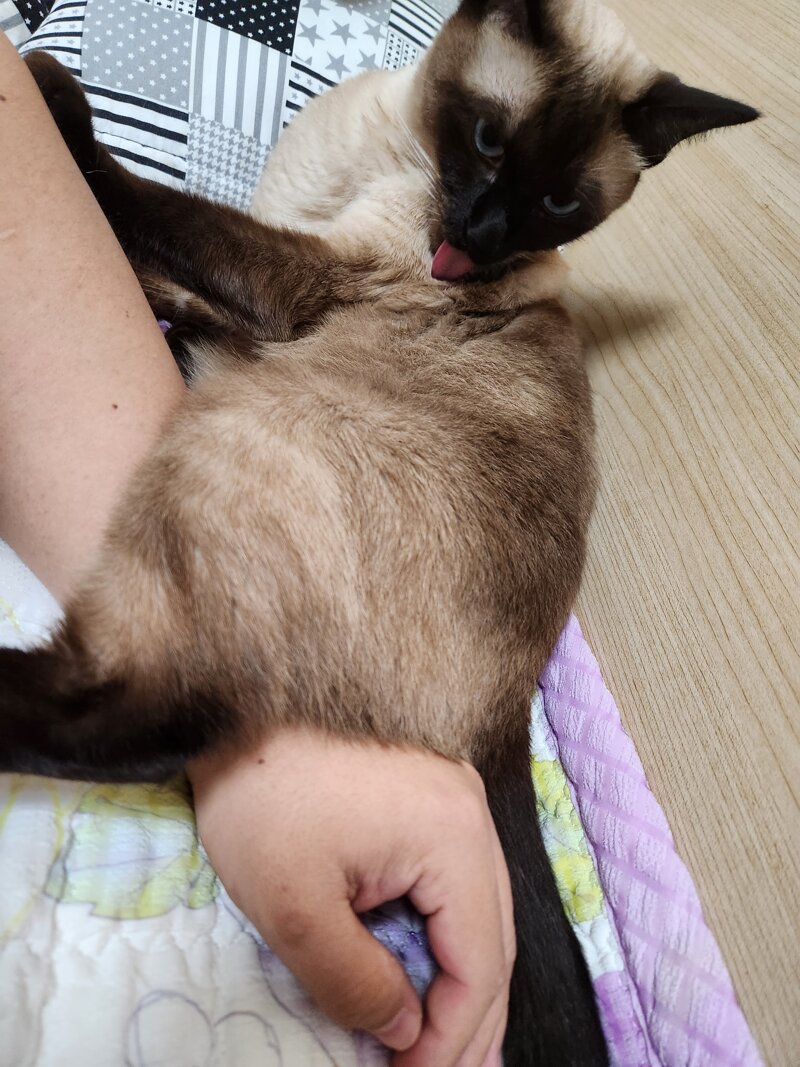 월드 오브 워크래프트 인벤 요즘은 와망 고사지내는 것이 유행임 와우 인벤 확장팩 게시판