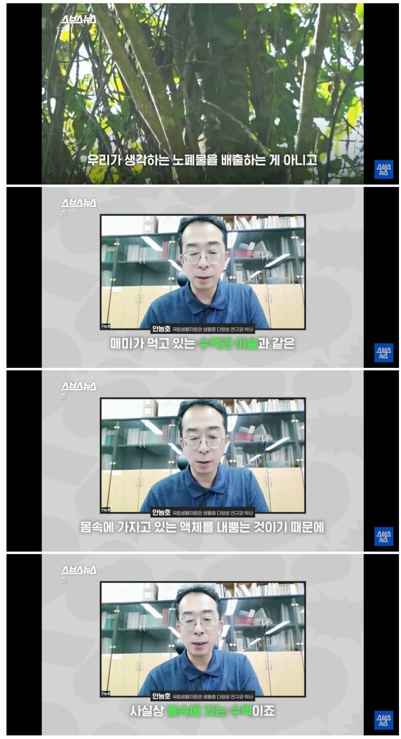 여름에 길걷다가 물방울 맞은적 있나요 오픈이슈갤러리 인벤