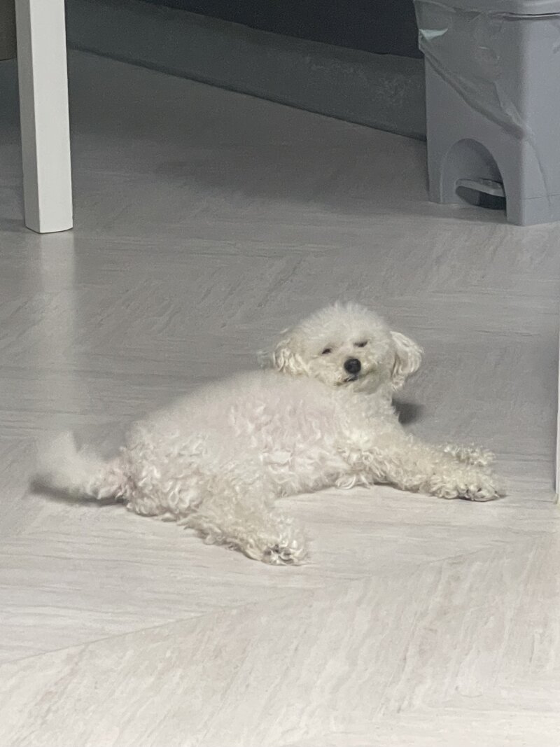 메이플스토리 인벤 한손 양손 메이플스토리 인벤 전사 직업게시판
