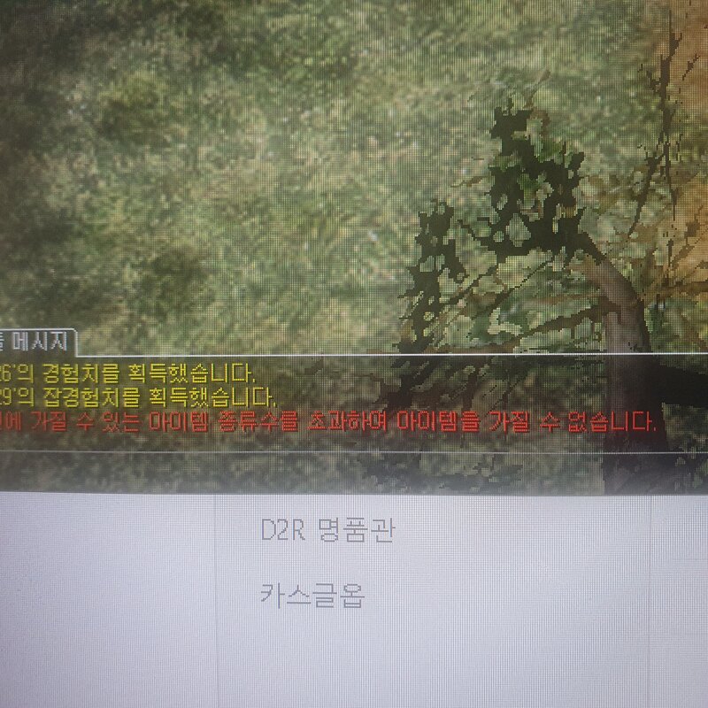 라그나로크 인벤 월간패키지 그걸 삿는데 라그나로크 인벤 질문과답변 게시판