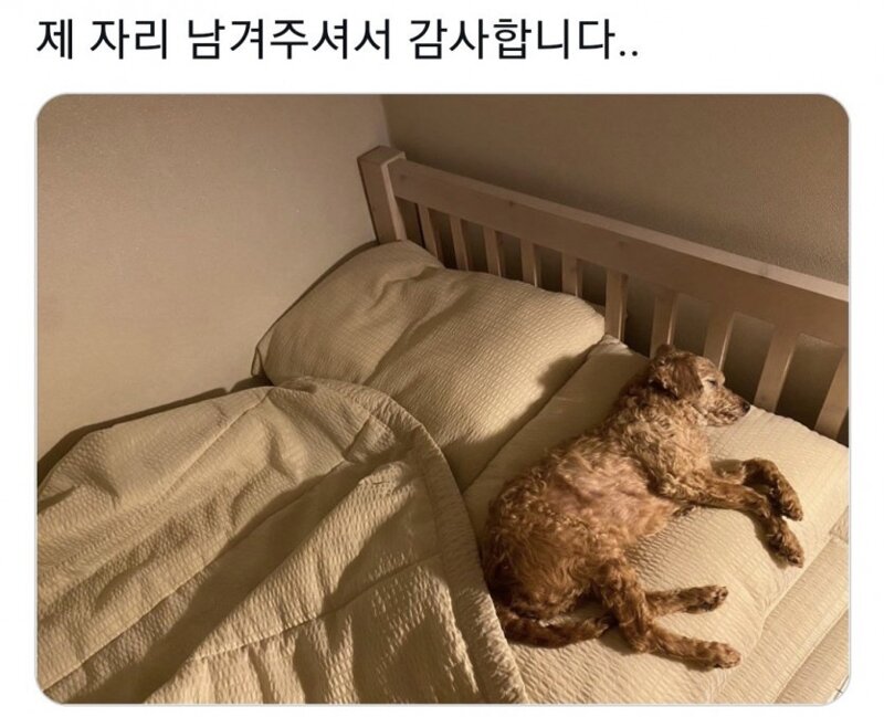 메이플스토리 인벤 요번주 보스보상 넘맛없다ㅠ 메이플스토리 인벤 자유게시판