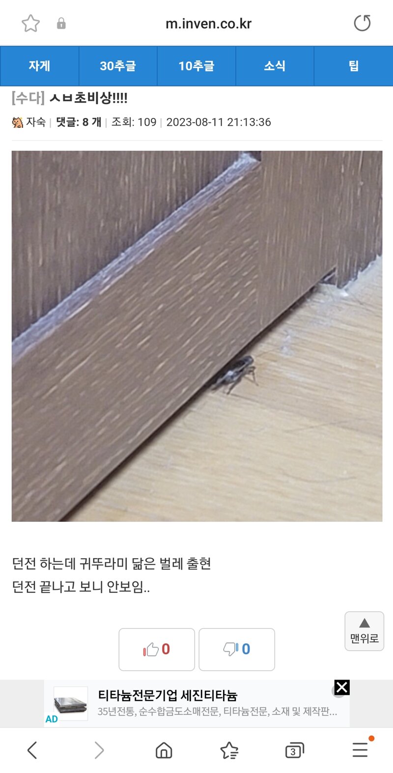 메이플스토리 인벤 약혐드디어 잡았다 씨바 메이플스토리 인벤 자유게시판