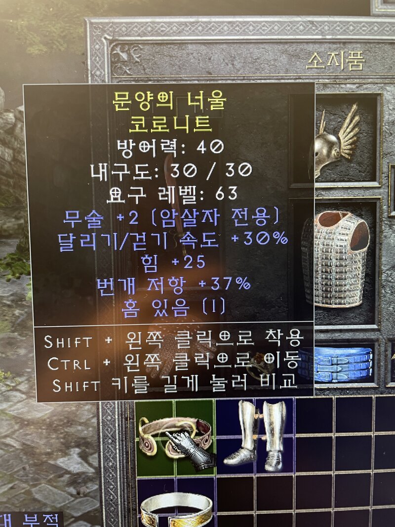 오늘도 도박을 했어요 디아블로2 자유 게시판 디아블로2 인벤