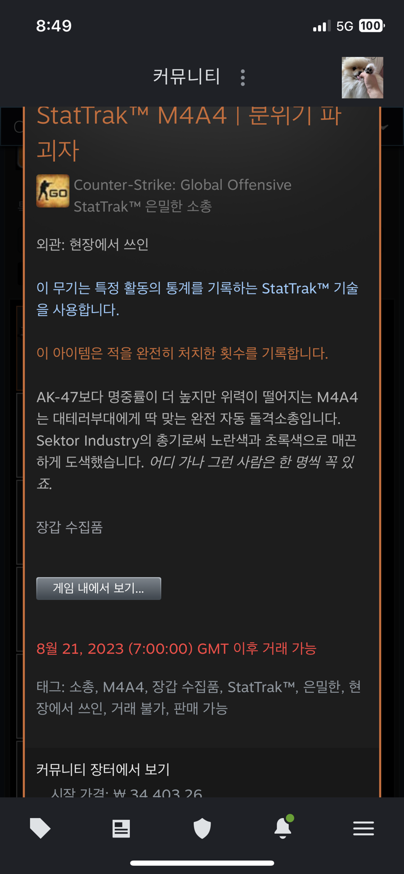 팟벤 거제 긴놈들 160에 팝니당 카스글옵csgo 파티