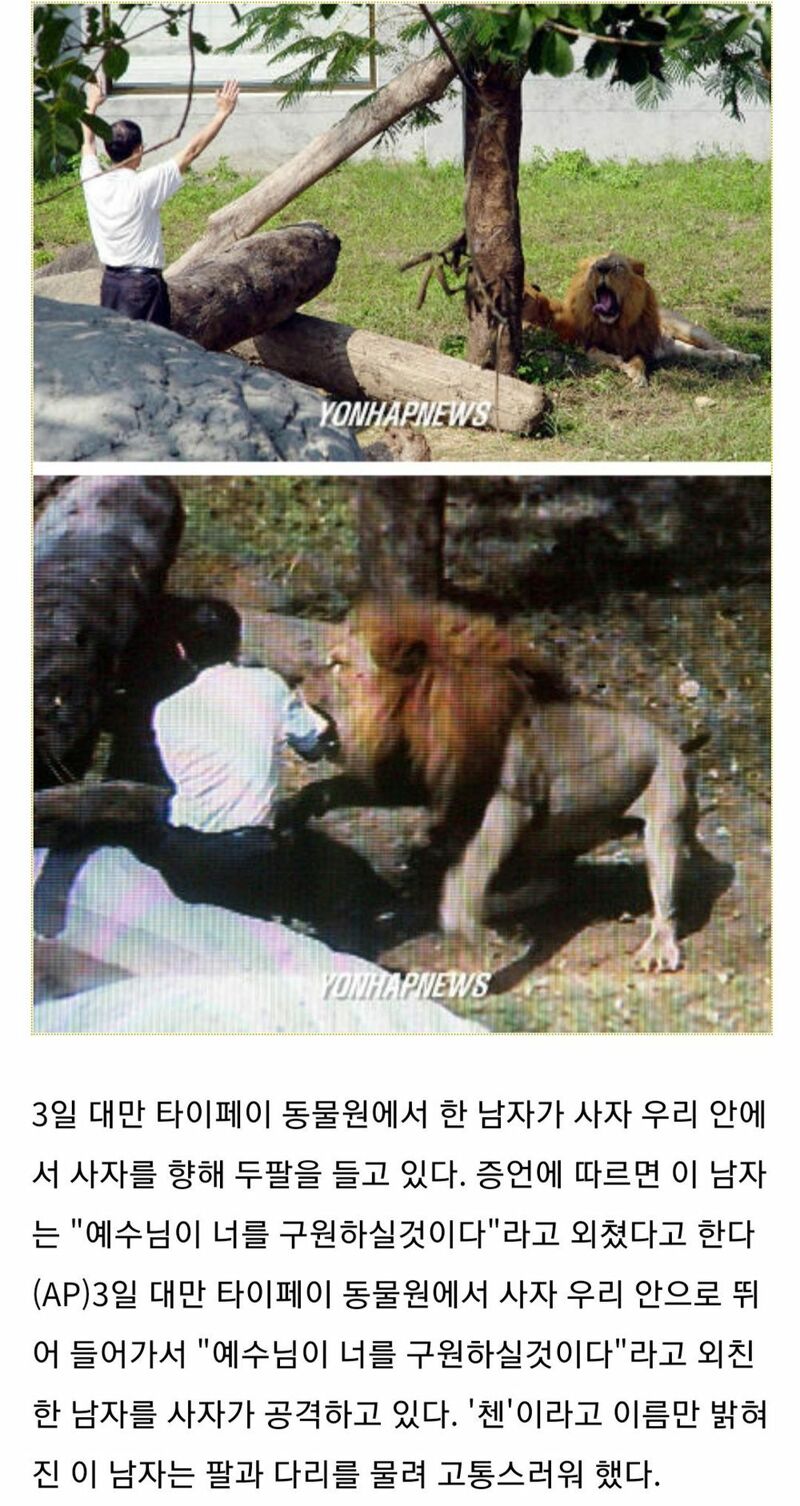 로스트아크 인벤 예수가 사자 네놈을 구원할 것이니 로스트아크 인벤 자유 게시판