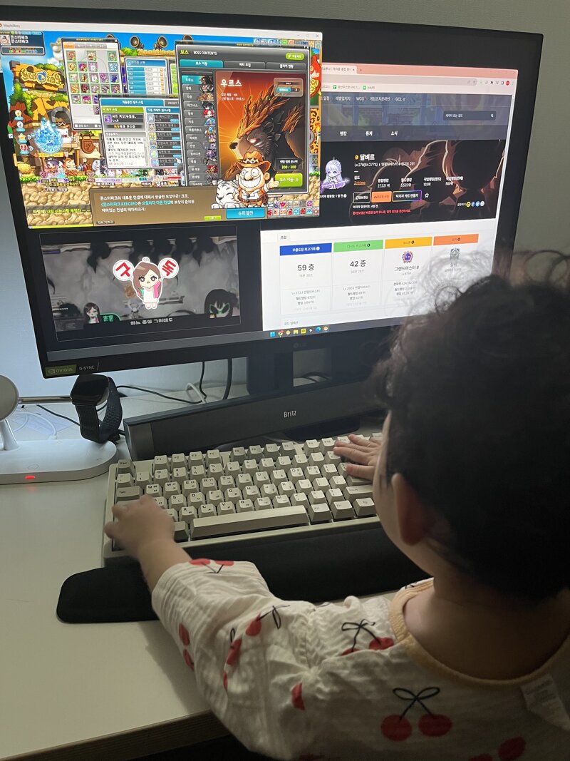 메이플스토리 커뮤니티 화제 일퀘스틸범 박제한다 Vortex Gaming