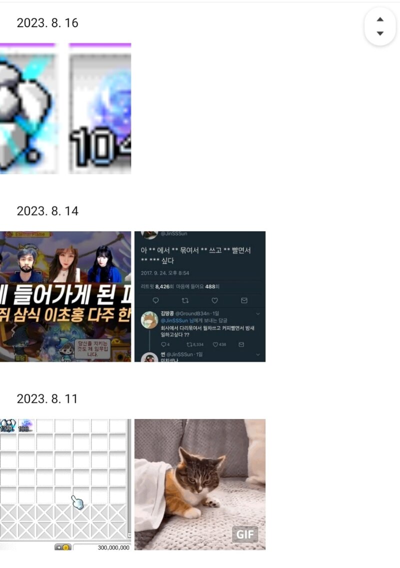 메이플스토리 인벤 남편한테 자석펫 사줌 메이플스토리 인벤 자유게시판