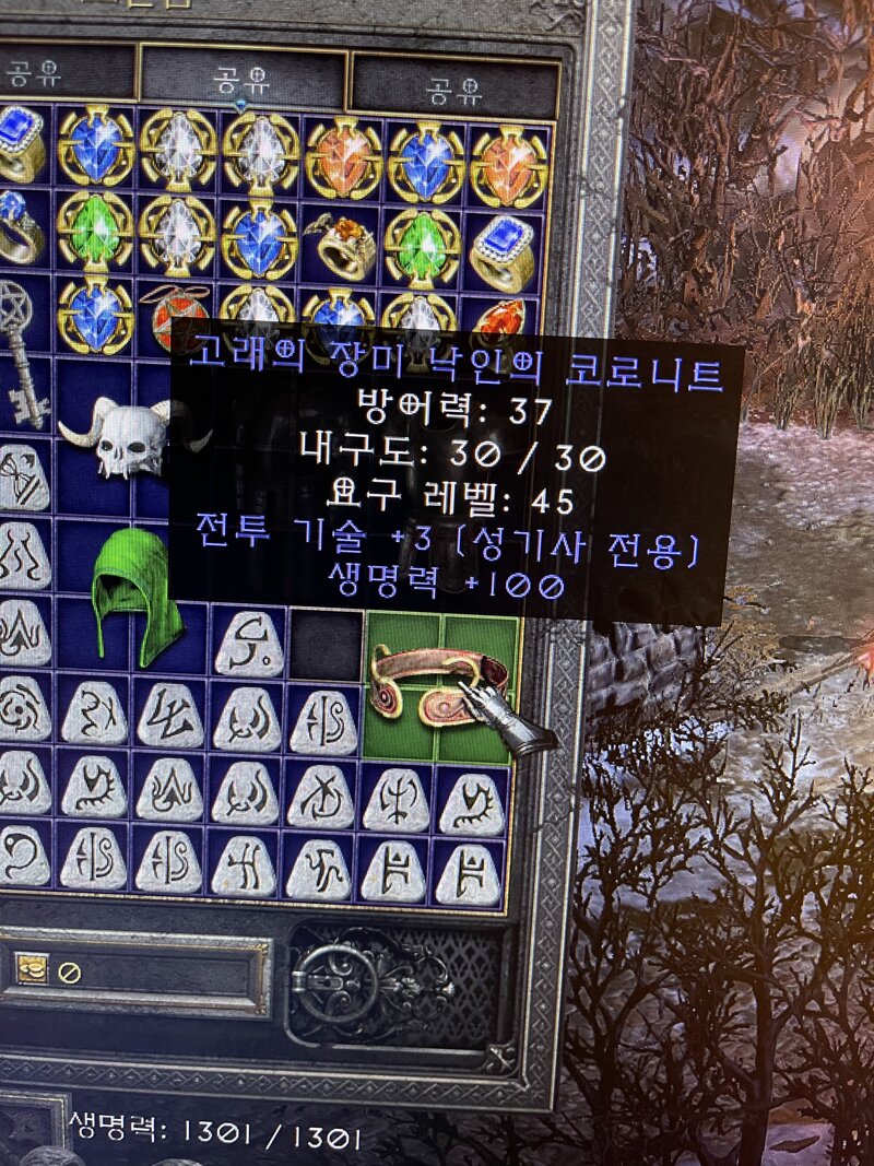 팔라 3전투기술 피100 뚜껑 쓰나요 디아블로2 득템and자랑 게시판 디아블로2 인벤