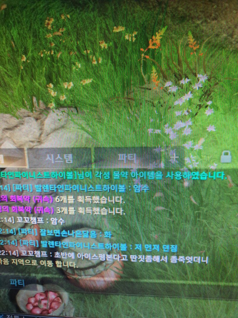로스트아크 인벤 아만 서버 노양겔 숙코 세나의영혼을원한다 로스트아크 인벤 서버 사건사고 게시판