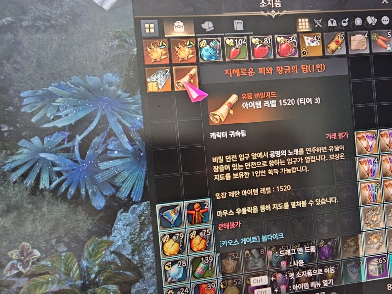 로스트아크 인벤 히히 로스트아크 인벤 이슈토론버그 게시판