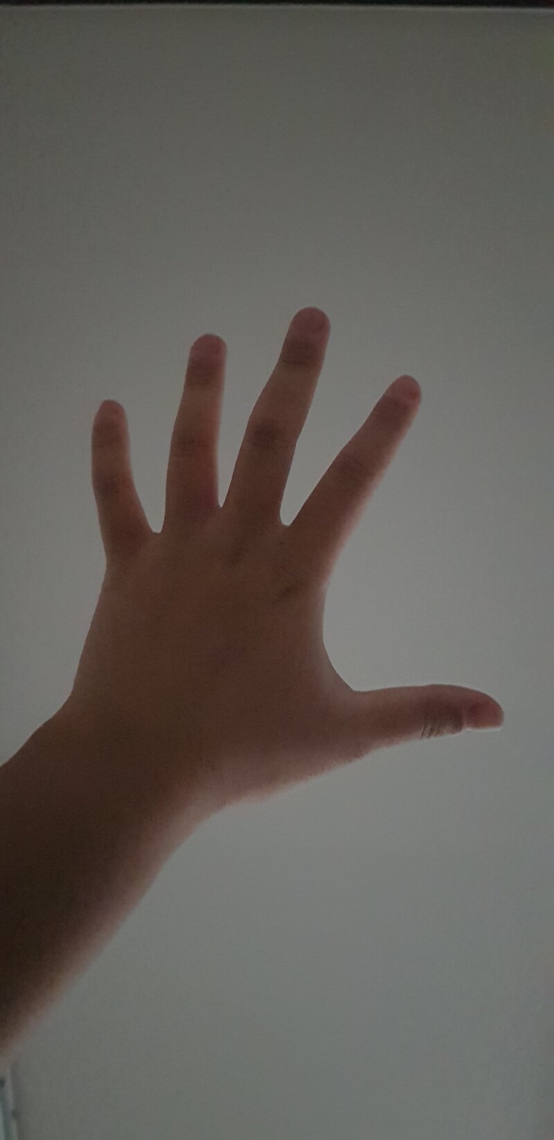 메이플스토리 인벤 나도 손 인증 메이플스토리 인벤 자유게시판
