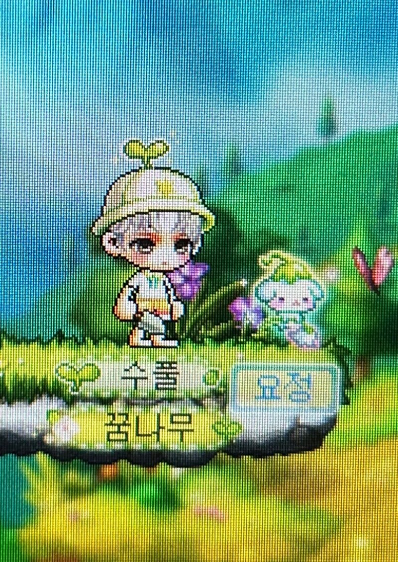 메이플스토리 인벤 수풀 닉 올렸습니다 메이플스토리 인벤 자유게시판
