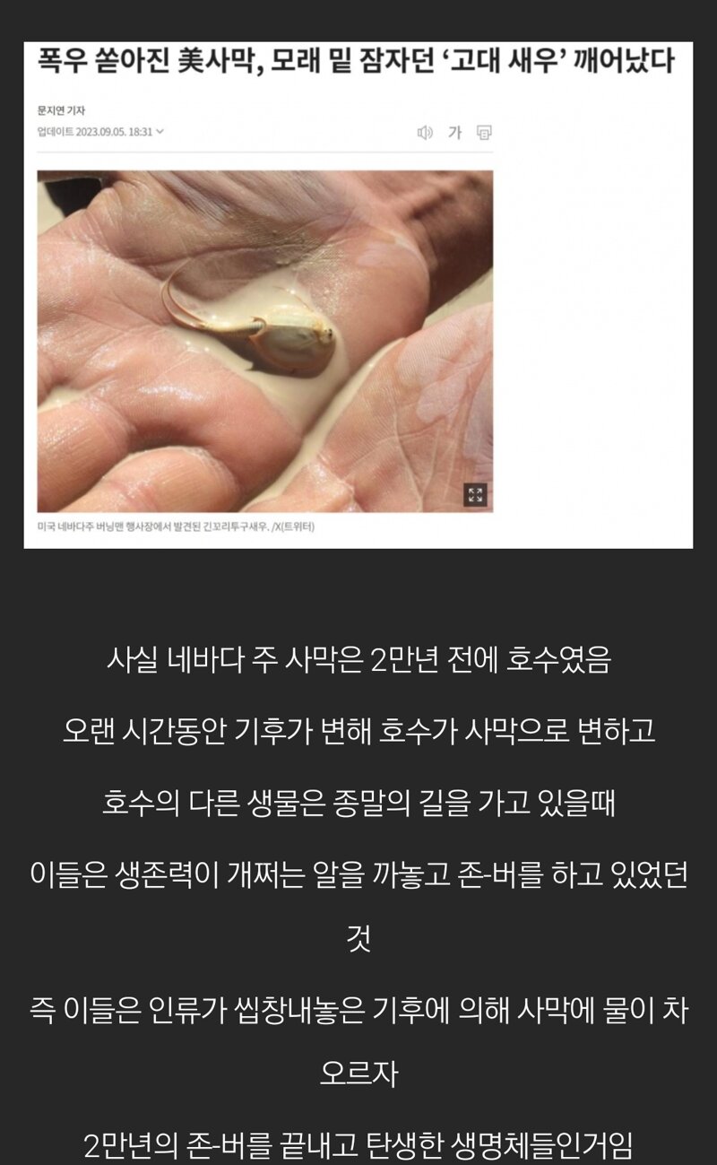 메이플스토리 커뮤니티 화제 사막에 새우들이 나타나게 된 이유 Vortex Gaming