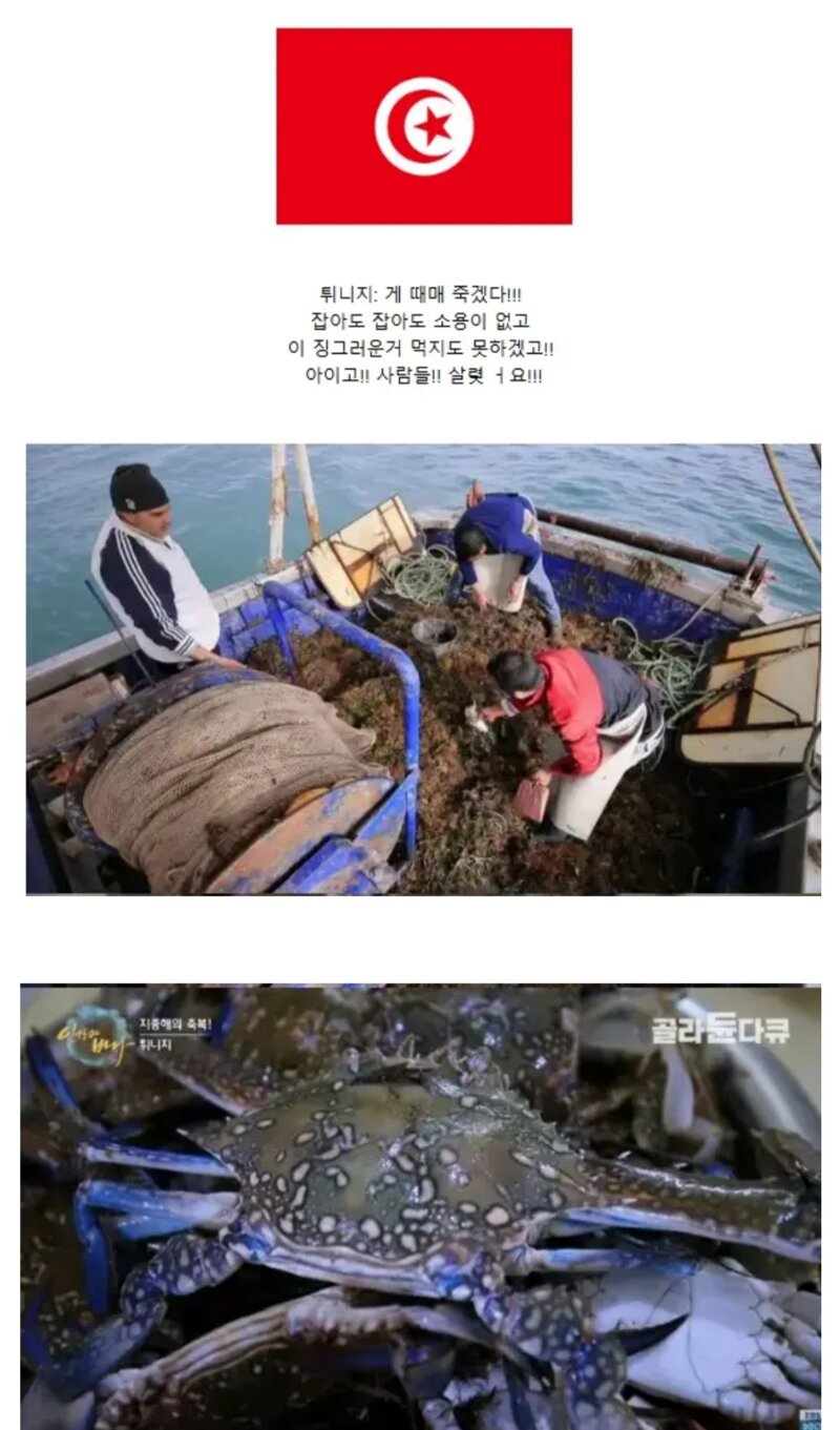 메이플스토리 인벤 펌 꽃게때문에 난리난 외국과 한국 메이플스토리 인벤 자유게시판