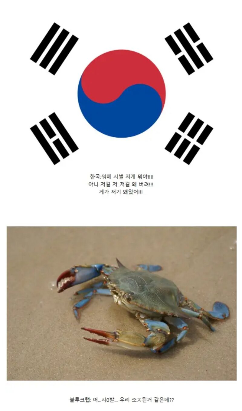메이플스토리 인벤 펌 꽃게때문에 난리난 외국과 한국 메이플스토리 인벤 자유게시판