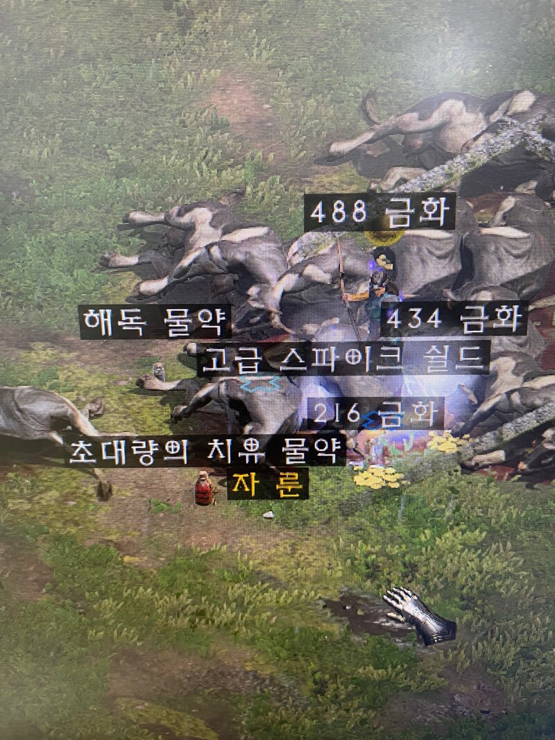 카우방 또 자룬 먹음 디아블로2 득템and자랑 게시판 디아블로2 인벤