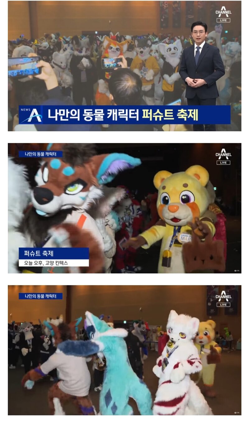 메이플스토리 인벤 Mz세대들에게 인기 있는 퍼리 메이플스토리 인벤 자유게시판