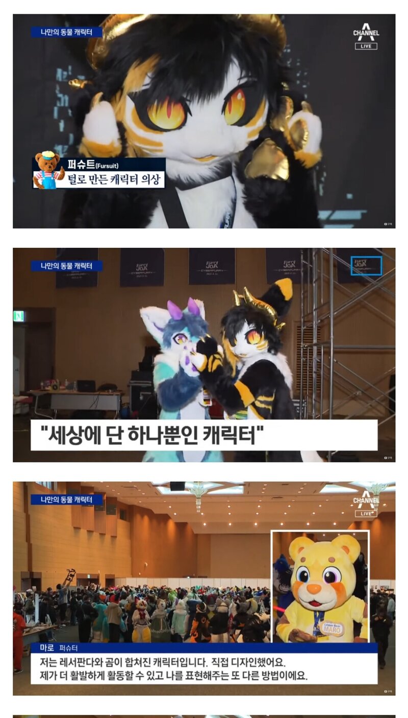 메이플스토리 인벤 Mz세대들에게 인기 있는 퍼리 메이플스토리 인벤 자유게시판