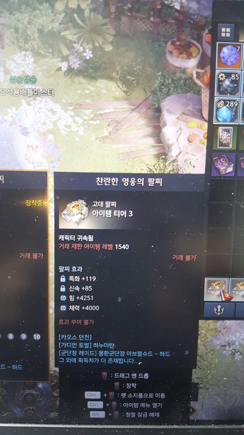 로스트아크 인벤 뉴비 팔찌질문ㅠ 로스트아크 인벤 배틀마스터 게시판