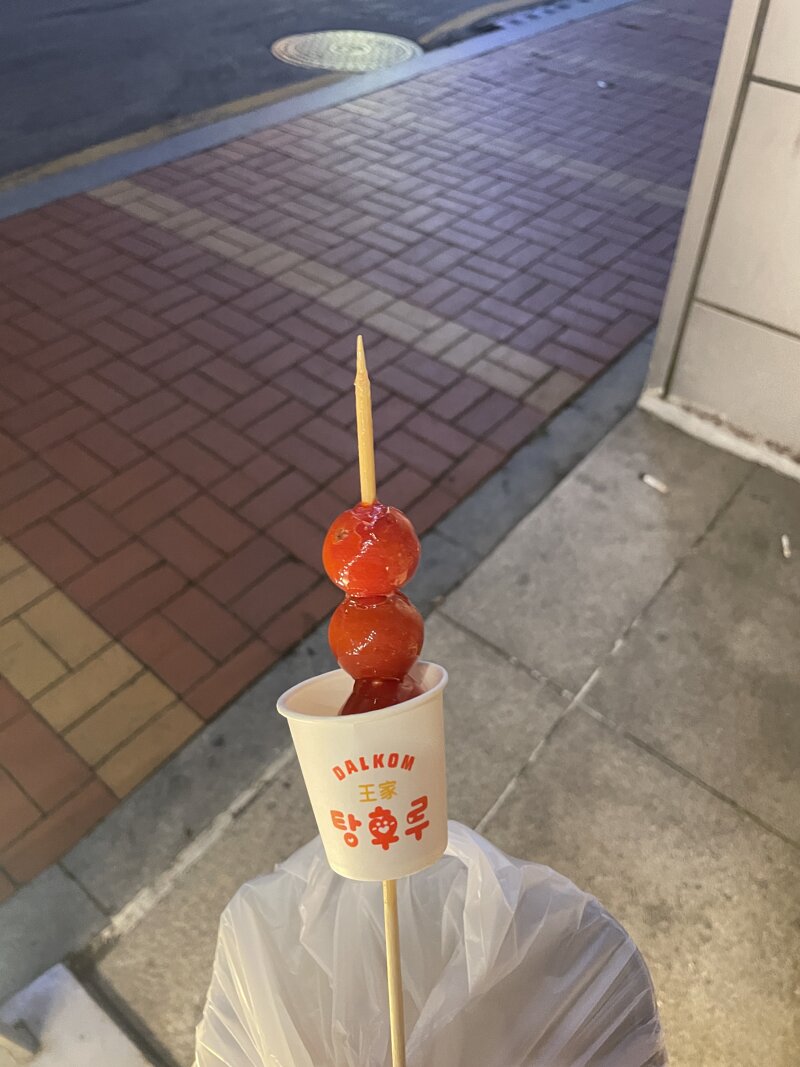 메이플스토리 인벤 인생 탕후루 두번째 메이플스토리 인벤 자유게시판