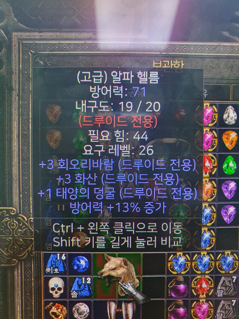 드루이드 모자 이런것도 사용하나요 디아블로2 자유 게시판 디아블로2 인벤