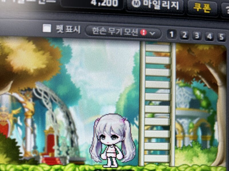 메이플스토리 인벤 아침등교 염색 좀 골라주세요 메이플스토리 인벤 리부트 게시판